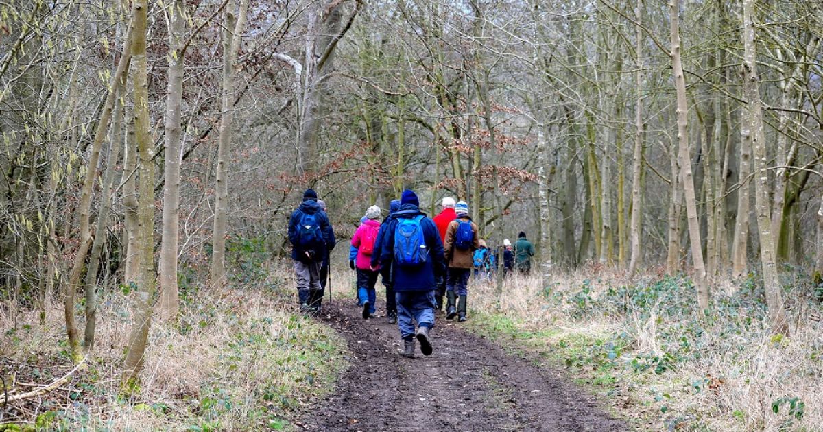 DW - Nuffield circular via Nettlebed and Howberrywood - Ramblers